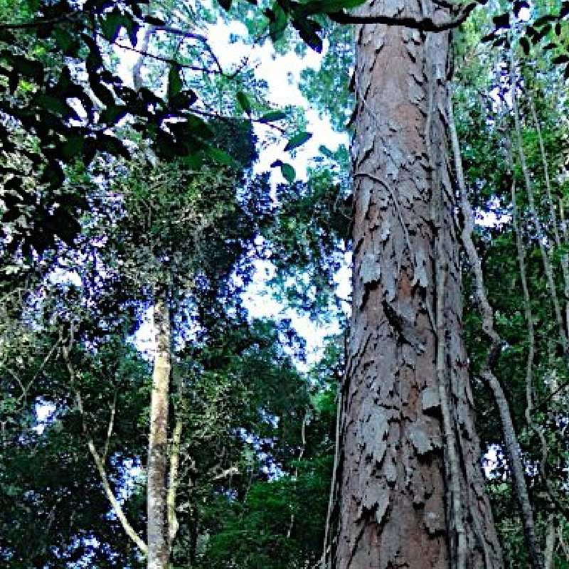 Projects - TFC EcoPoint